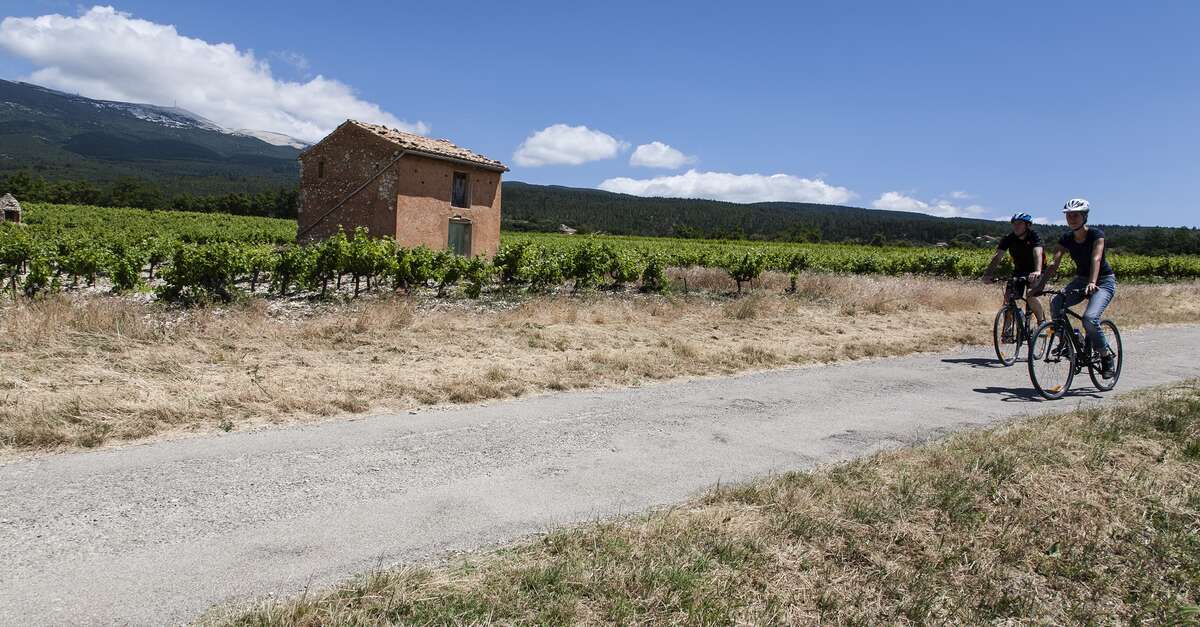 18 – Gateway to Mont Ventoux (Bédoin) | Provence-Alpes-Côte d'Azur Tourism