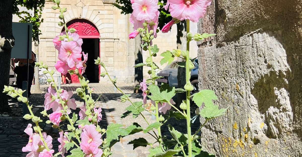 Visite guidée de Saint-Martin : Au fil de l’Histoire (PMR) (Saint ...