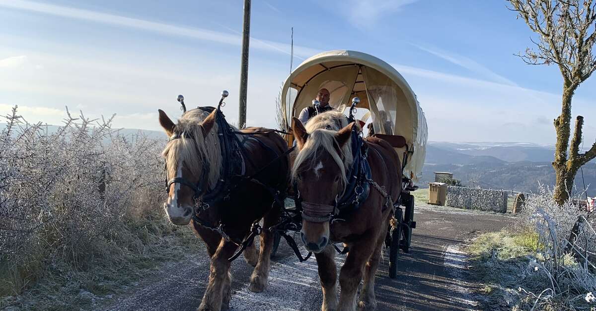 Le Sabot Vert (Fayet-Ronaye) | Vacances en Auvergne - Maison du ...