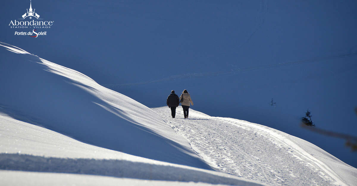 Snowshoeing itinerary : le domaine de l’Essert (Abondance) | Portes du ...