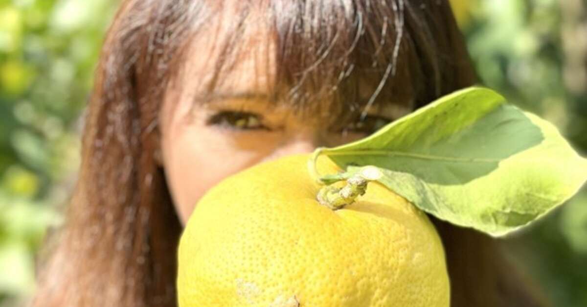 The Lemon Farm (Menton) | Menton, Riviera & Merveilles Tourist Office