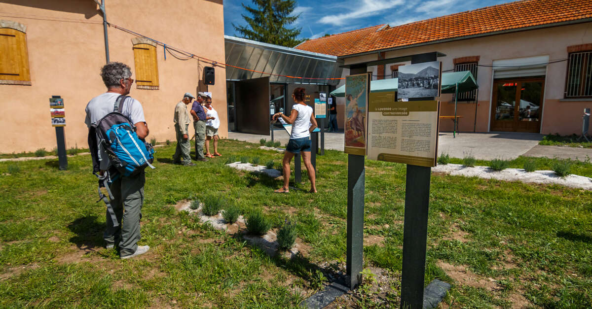 Rendez-vous aux Jardins (Barrême) | Provence-Alpes-Côte d'Azur Tourisme