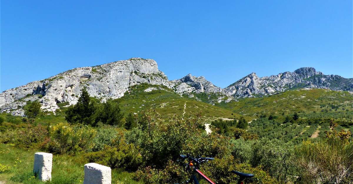 Alpilles Roquemartine: The Mouriès loop (Mouriès) | Marseille Tourism