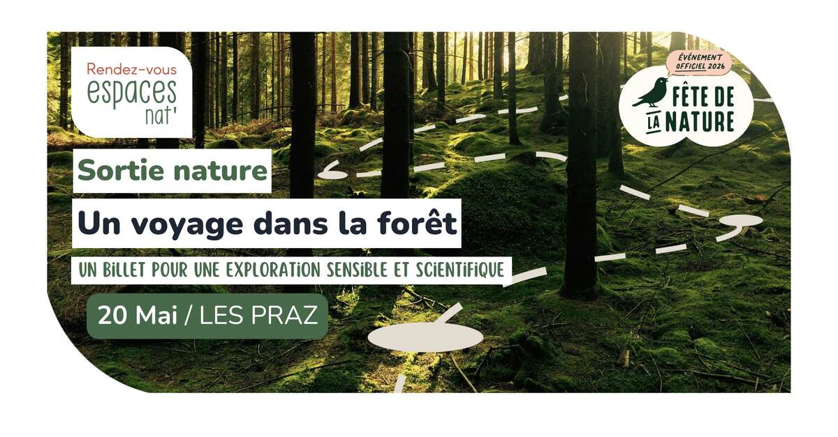 Nature outing – A journey through the forest (Chamonix-Mont-Blanc ...