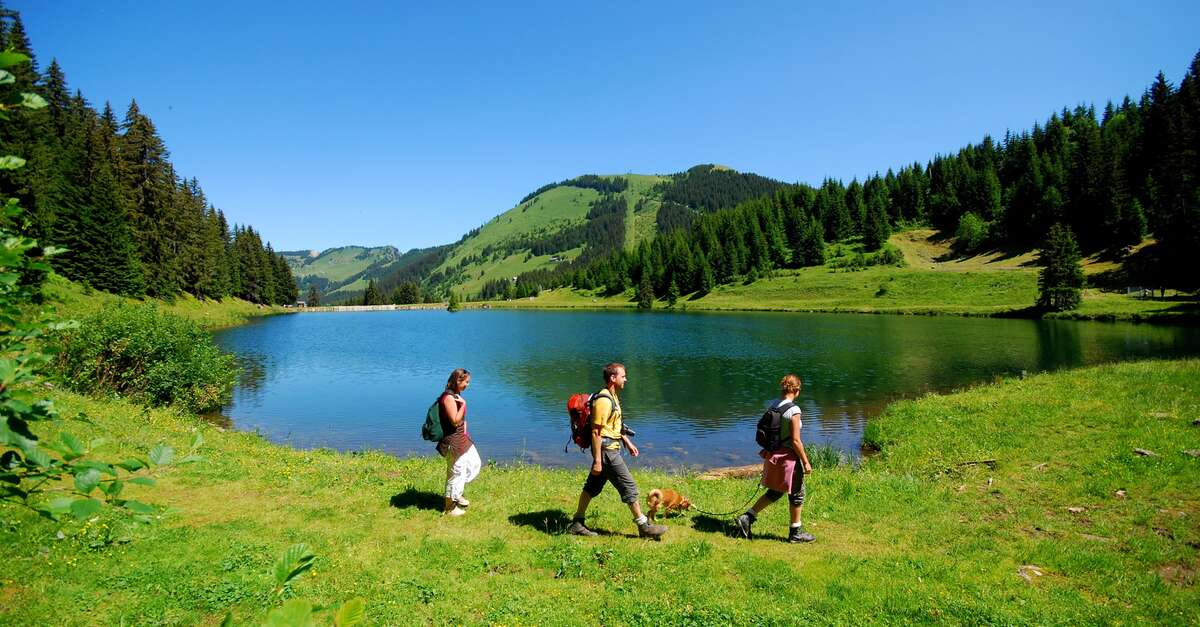 Walking route – Super Châtel and the 3 lakes (Châtel) | Portes du Soleil