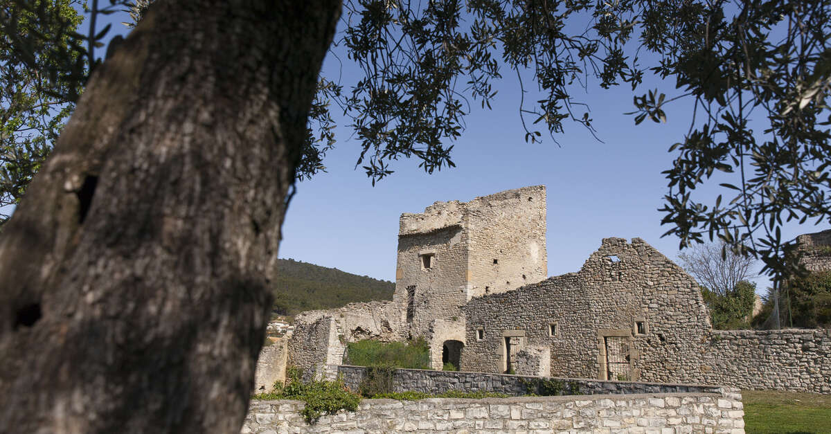Le Château Peyruisien (Château-Arnoux-Saint-Auban) | Provence-Alpes ...