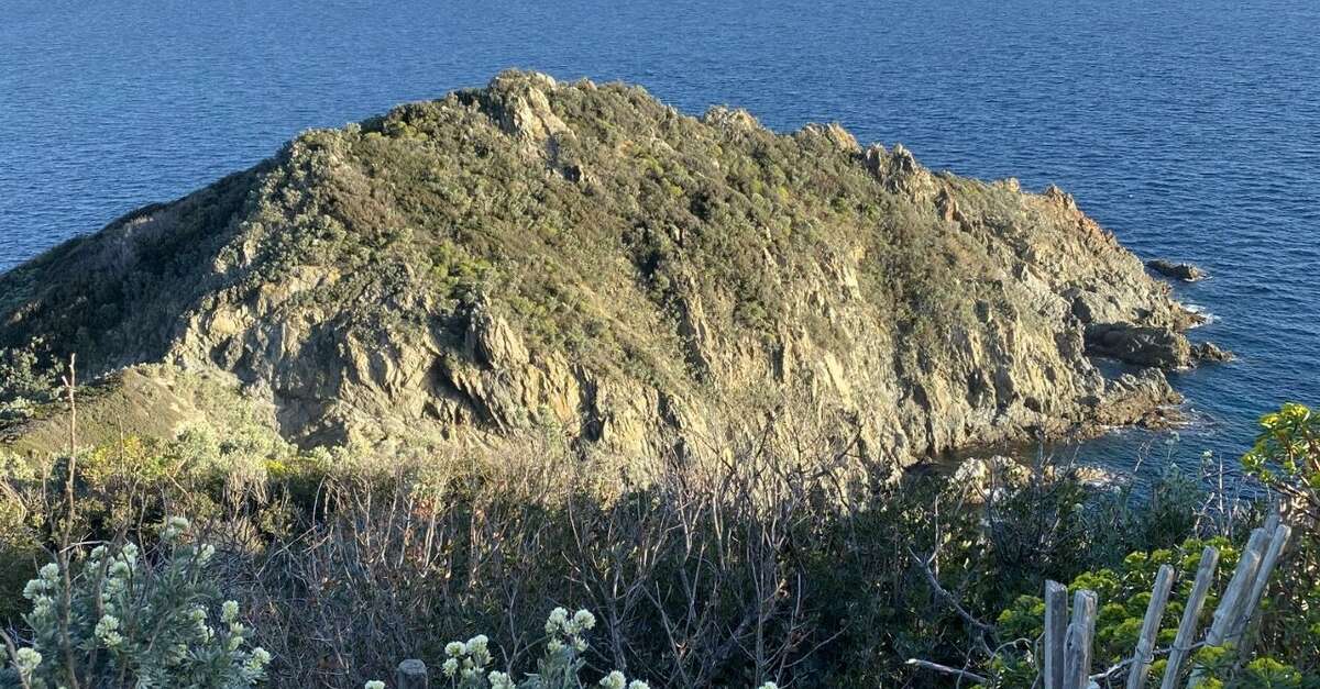 Domaine du Cap Lardier (La Croix-Valmer) | Côte d’Azur France / French ...