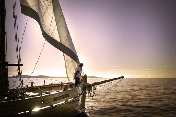 Evening sailing cruise in the Frioul’s Island – Quay of Honor Town Hall ...