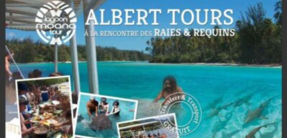 Albert Tours : Excursion Moana Lagoon & Motu Picnic (Paopao, Moorea ...