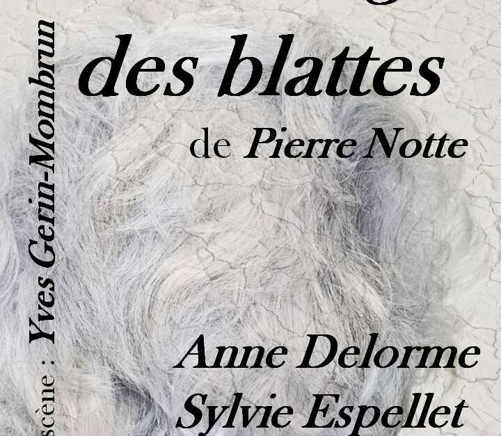 Théâtre : La nostalgie des blattes de Pierre Notte (Molines-en-Queyras ...