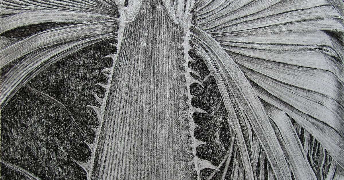 Exposition d’art Isabelle Stagg (Hyères) | Côte d’Azur Frankreich