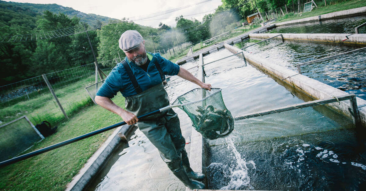 Pisciculture du Cheiron (Gréolières) | Provence-Alpes-Côte d’Azur Tourismus