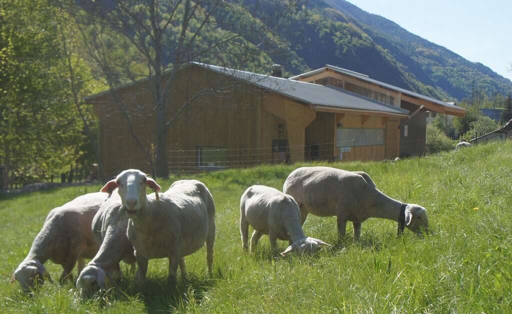 LA RONDE DES PATURAGES (Valbonne) | Le Pass Cote d'Azur France