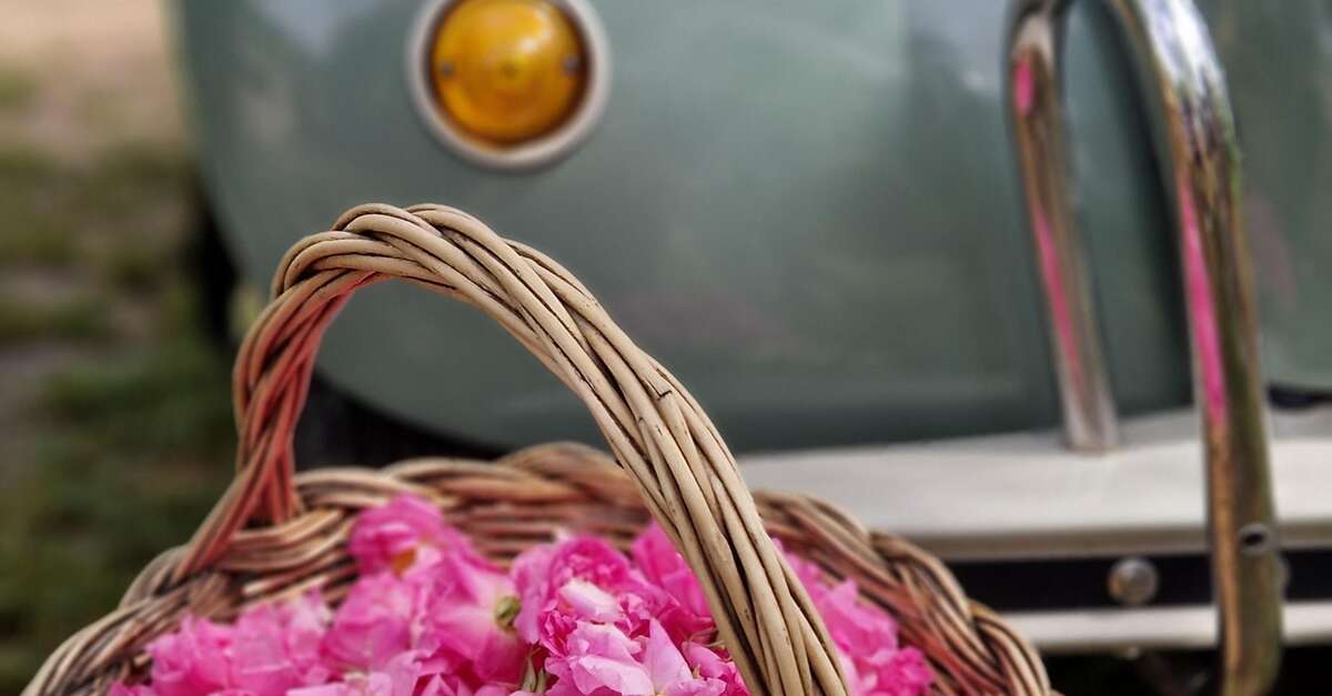 Partez en 2CV sur la route des fleurs à parfum (Mouans-Sartoux) | Côte ...