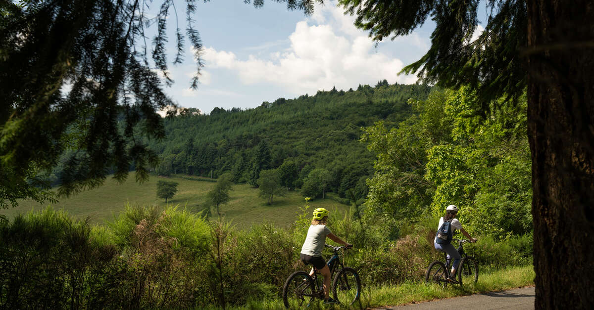 N°6 – le Puy de Montoncel (Saint-Priest-la-Prugne) | adt-loire