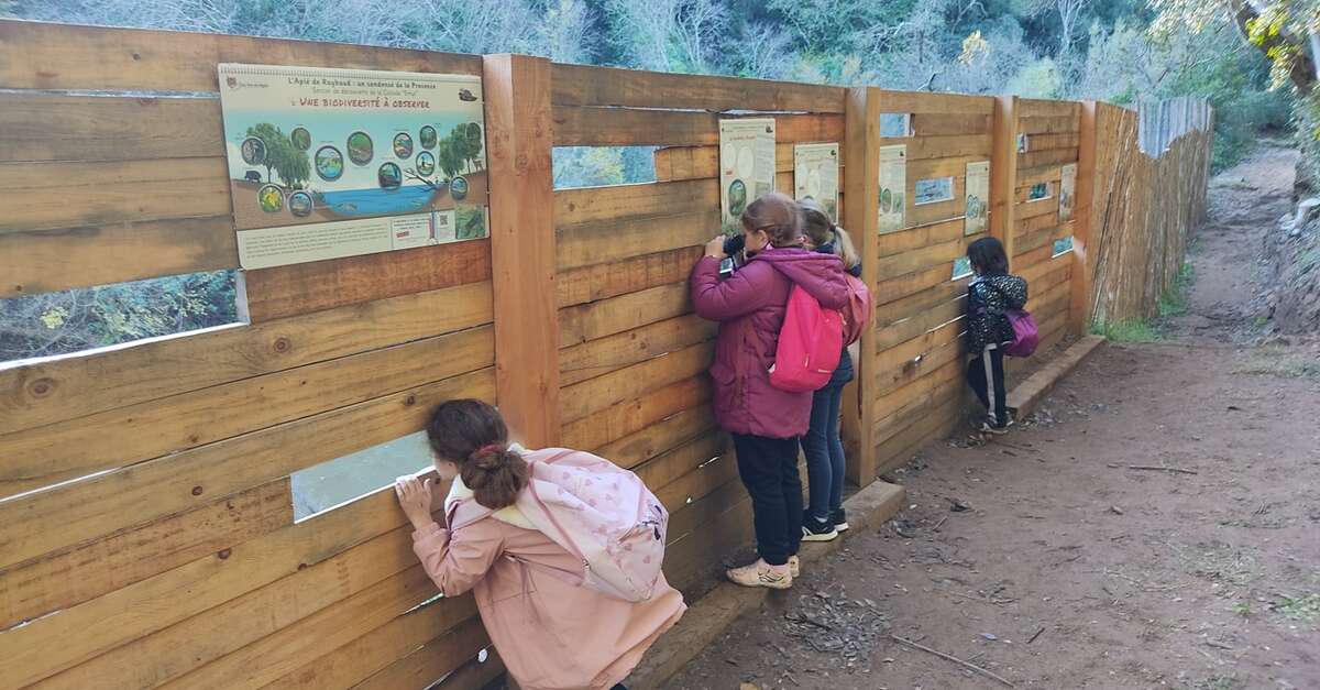 Le sentier d’Emys de l’Apié de Raybaud (Les Arcs) | Provence-Alpes-Côte ...