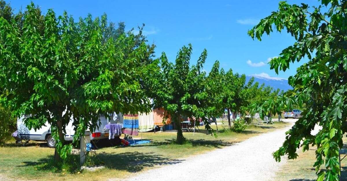 Camping Le Ventoux (Mazan) | Provence-Alpes-Côte d'Azur Tourisme