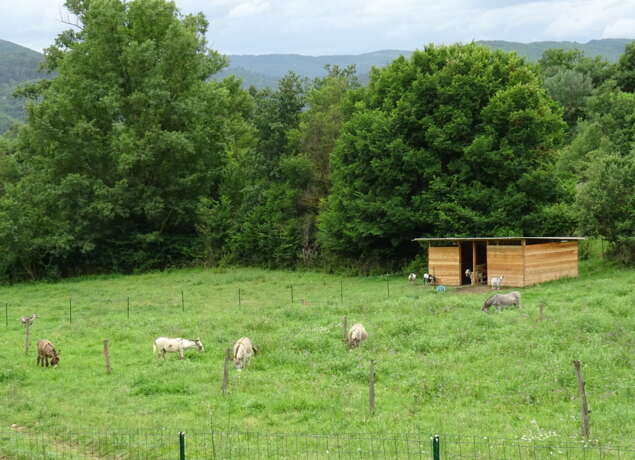 A la Ferme de Titou (Saint-Maime) | Provence-Alpes-Côte d'Azur Tourism