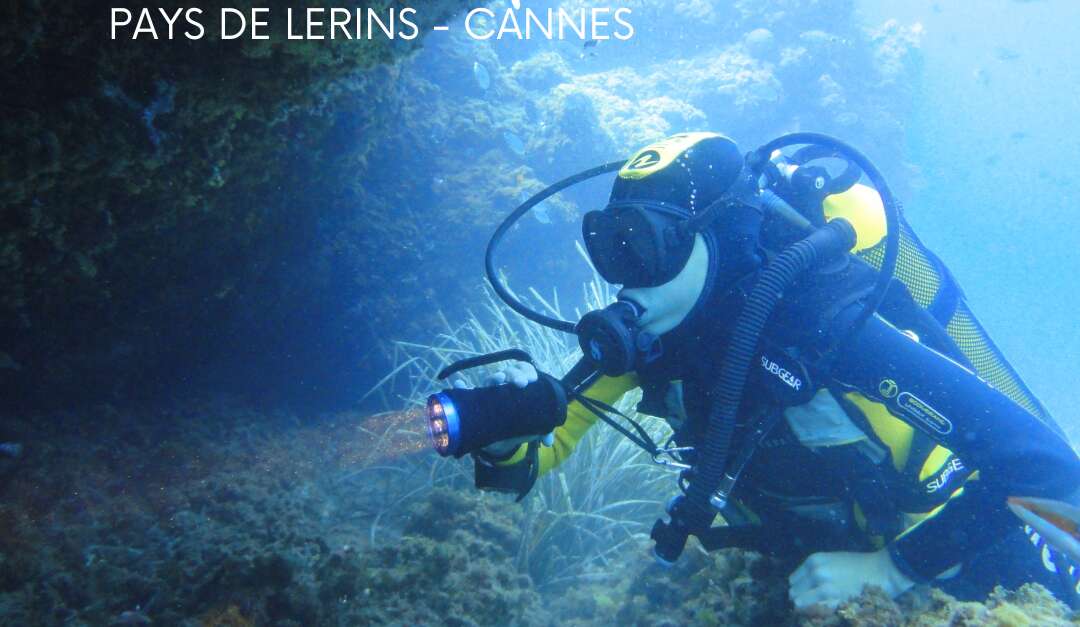 Plongée exploration (Cannes) | Provence-Alpes-Côte d'Azur Tourisme