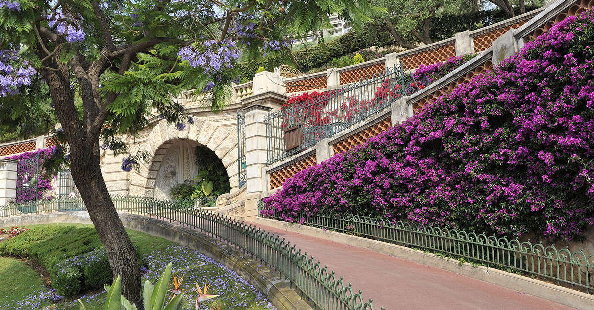 Princess Antoinette Park (Monaco) | Provence-Alpes-Côte d'Azur Tourism