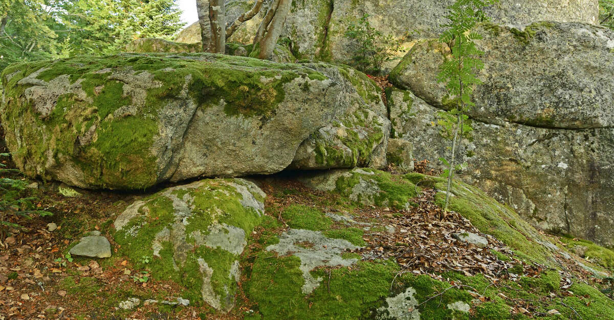 Sites préhistoriques (Le Chambon-sur-Lignon) | Office de tourisme du ...