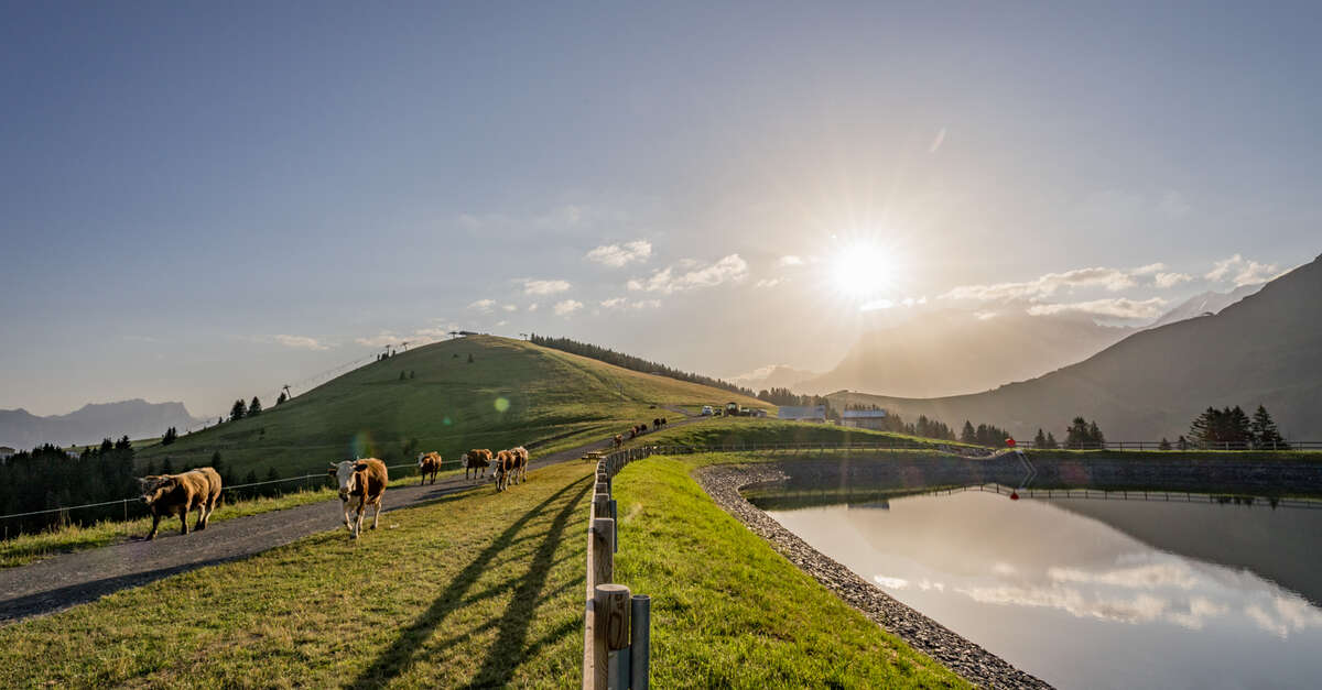 Itinéraire Gourmand – La Route du Lait | Saint-Gervais Mont-Blanc