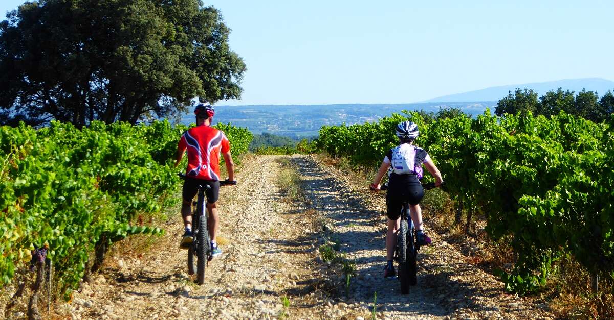 Bédoin et les contreforts du Ventoux : Balade accompagnée à vélo ...
