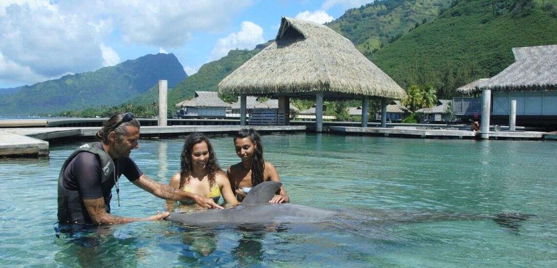 Moorea Dolphin Center (Haapiti, Moorea) | Tahiti Tourisme PF