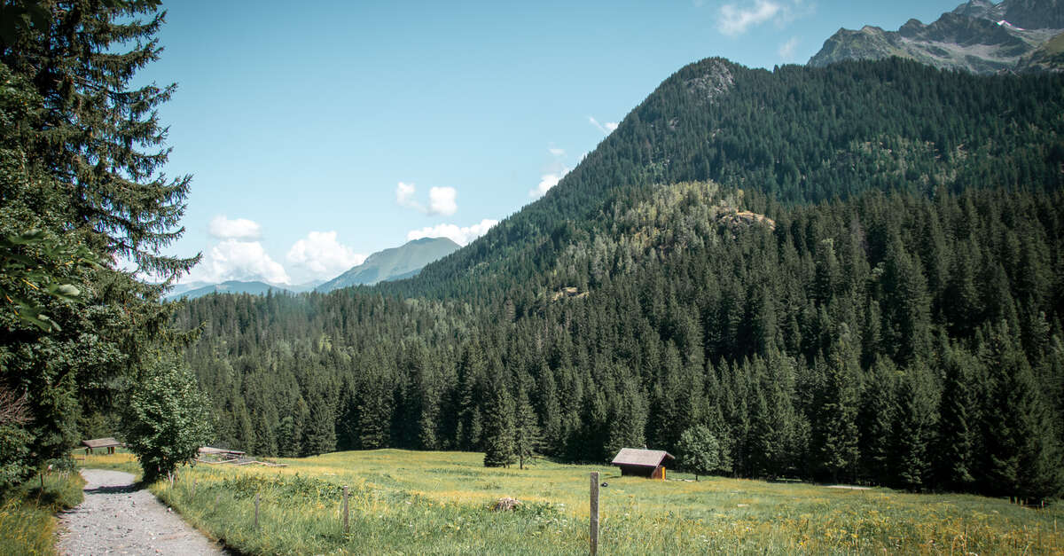 Mountain bike trail 6 - Nant Borrant - Les Contamines-Montjoie | Les Contamines Montjoie, le ...