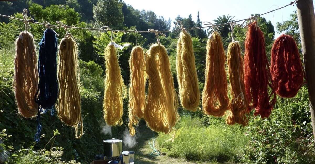 Touch animation on vegetable dyeing (Tende) | Provence-Alpes-Côte d ...