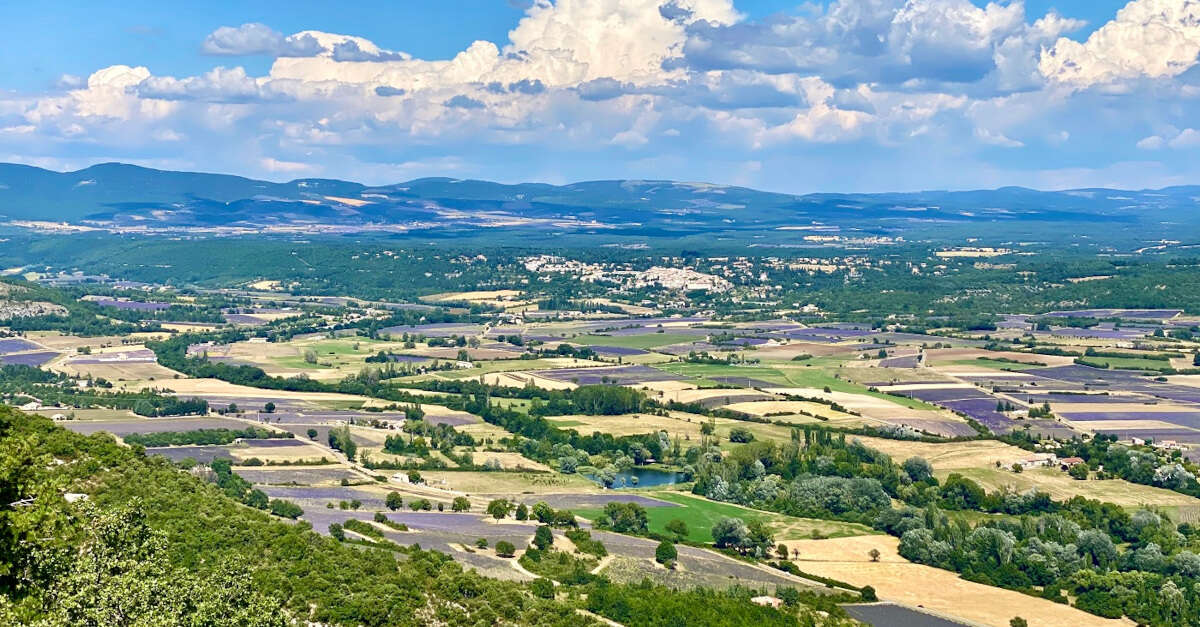 Le Pays de Sault (Sault) | Provence-Alpes-Côte d'Azur Tourisme