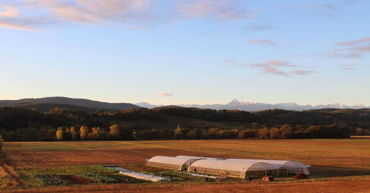 Vente directe à la Ferme des Croquants à La Bastide-de-Besplas DEG ...