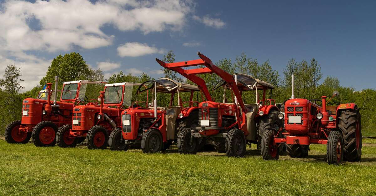 Fête du chou (Usson-en-Forez) | adt-loire