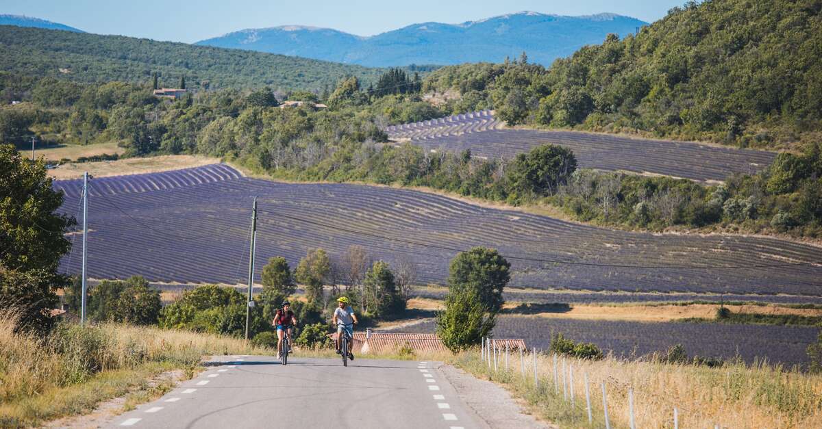 Lavande et vieilles pierres (Céreste) | Provence-Alpes-Côte d'Azur Tourism