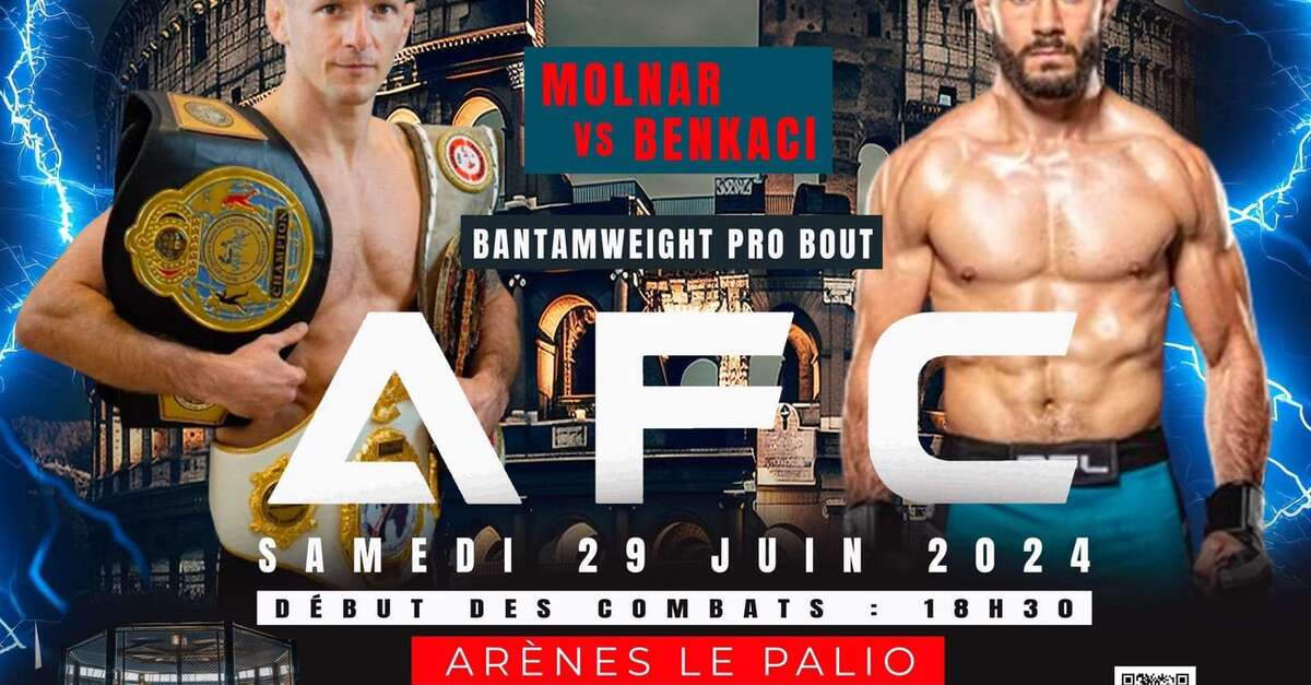Alpha Fight Championship – Compétition MMA (Istres) | Provence-Alpes ...