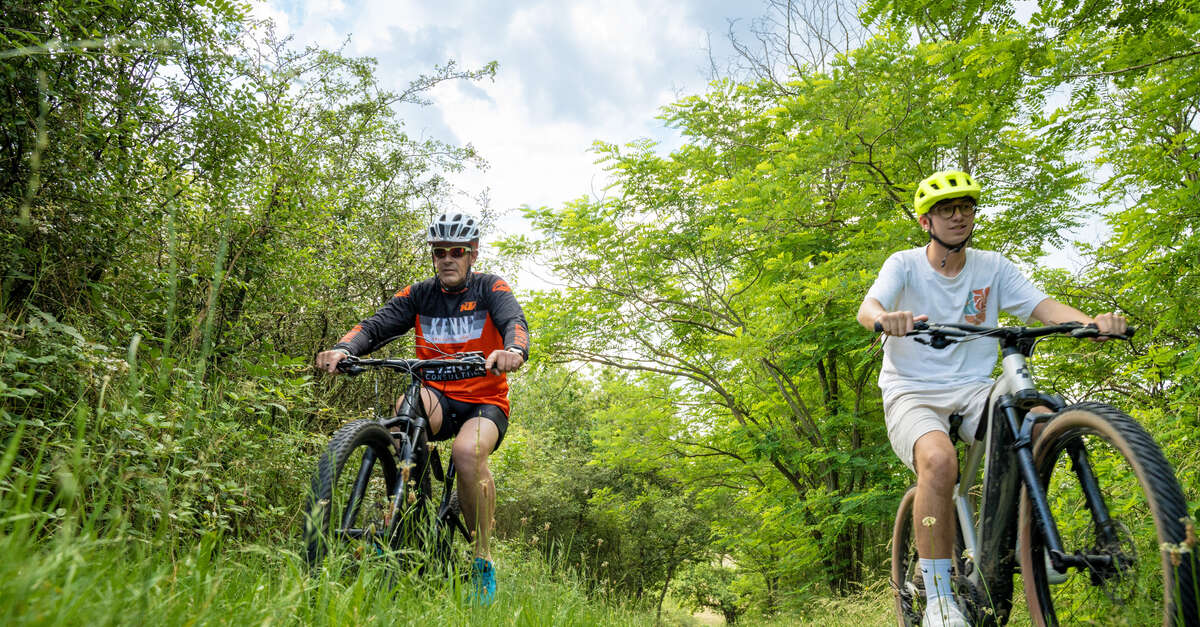 N°9 – la Pierre des Fées (Saint-Priest-la-Prugne) | adt-loire