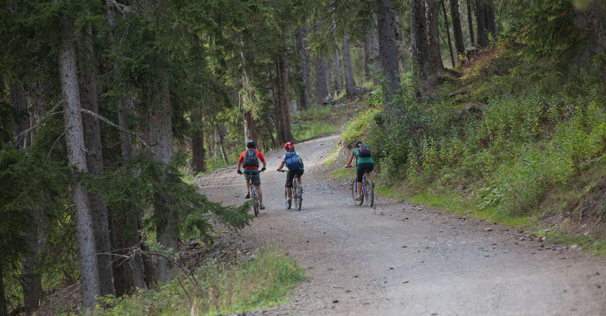 Itinéraire VTT n°10 – Ball trap (Megève) | Haute-Savoie Mont-Blanc