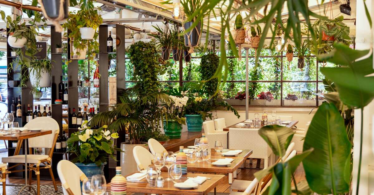 Angelo Italian Restaurant (Nice) | Costa Azzurra Francia