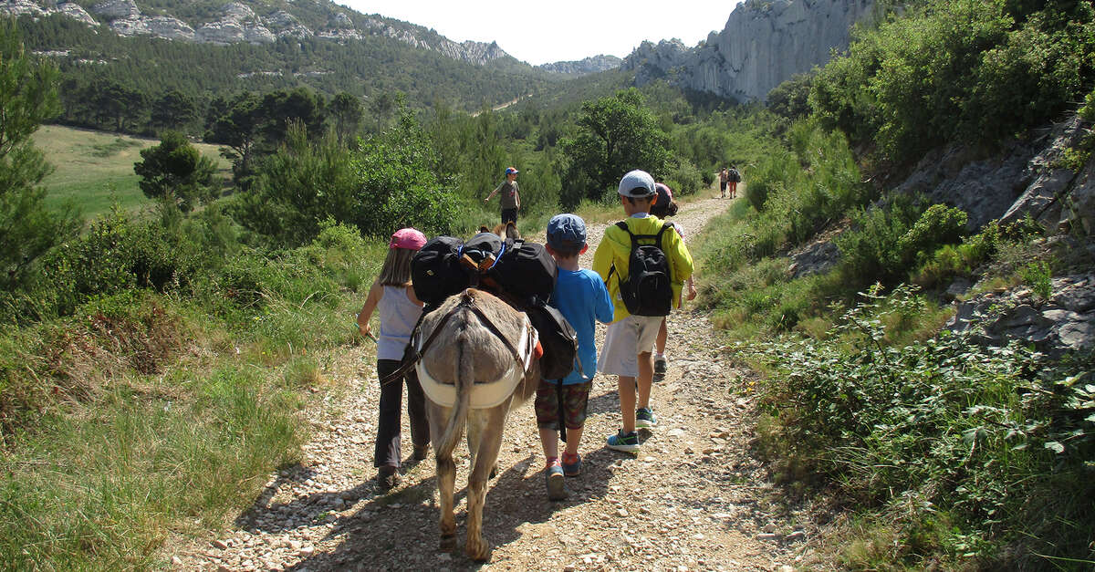 A walk with the Little Donkeys: “Les Caisses de Jean-Jean” at a donkey ...