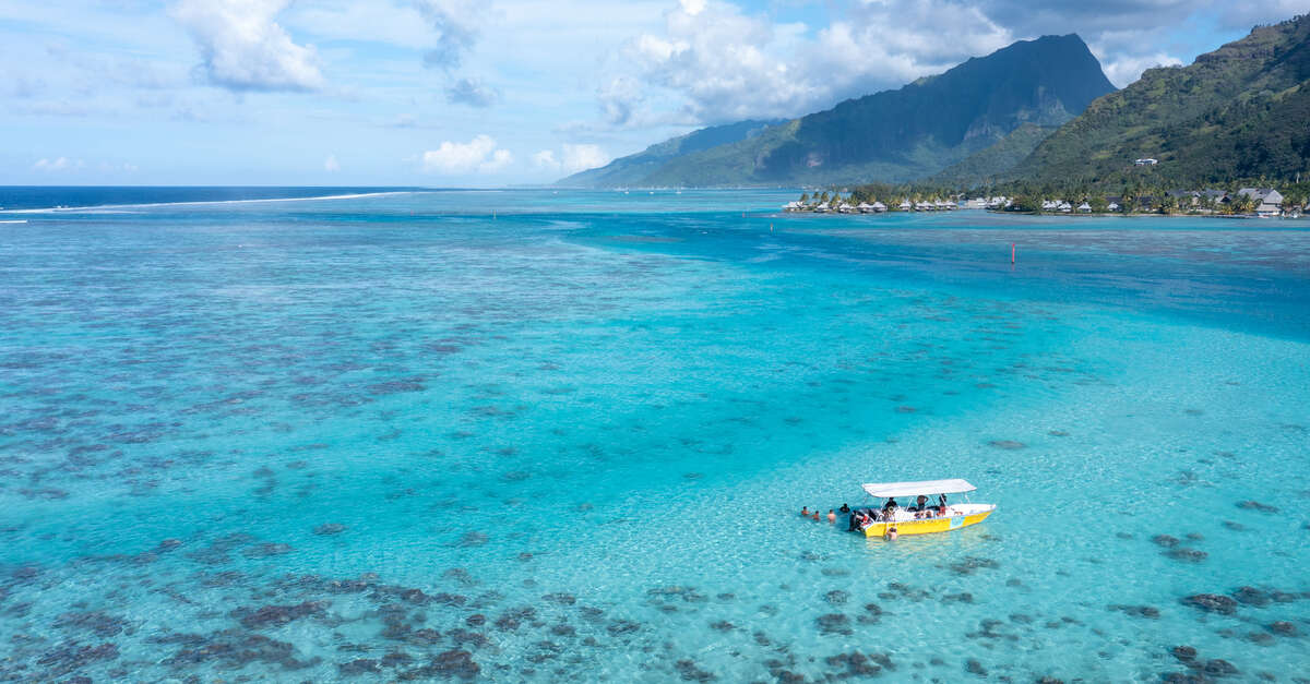 Moorea Tiki Tour – Sortie Baleine (Paopao, Moorea) | Tahiti Tourisme ...