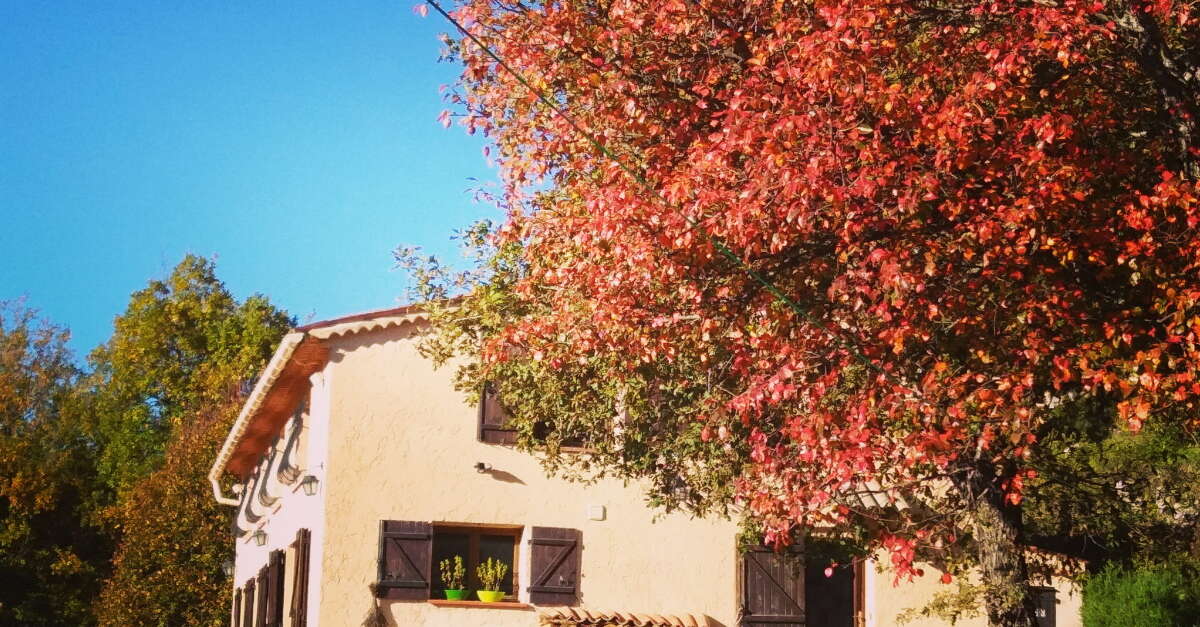 La Maison du Loup (Gréolières) | Côte d’Azur France / French Riviera