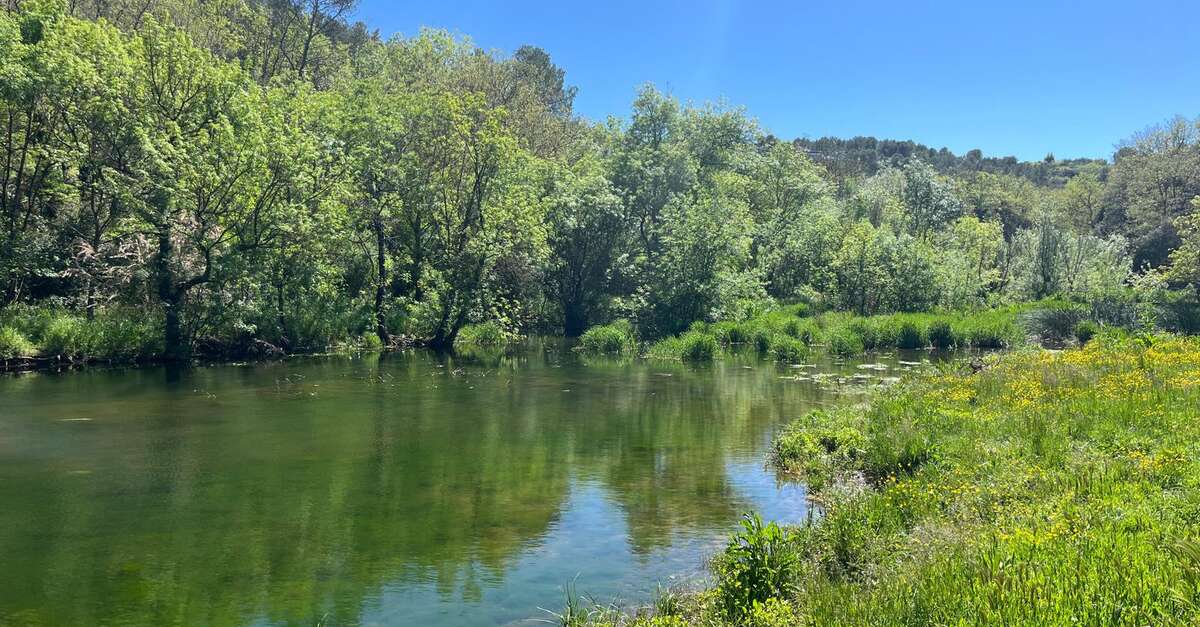 Zones humides et trame turquoise – sortie nature (Valbonne) | Provence ...