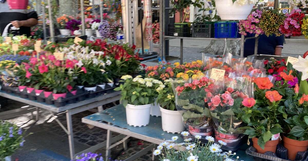 Marché de Gardanne (Gardanne) | Provence-Alpes-Côte d'Azur Tourisme
