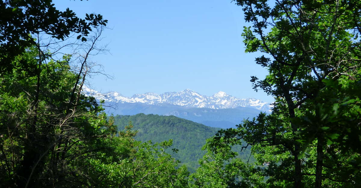 Randonnée Chemin de Pierre à la Croix – Nature Ariège ITI – Le chemin ...