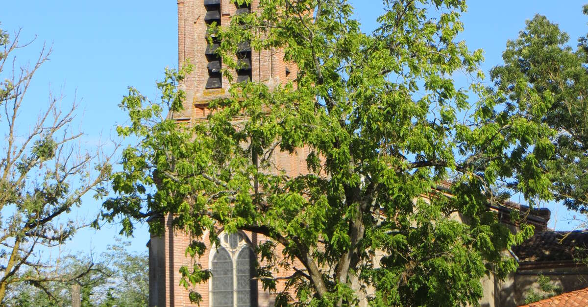 Église Saint-Simplice (Les Barthes) | Tarn-et-Garonne Tourisme