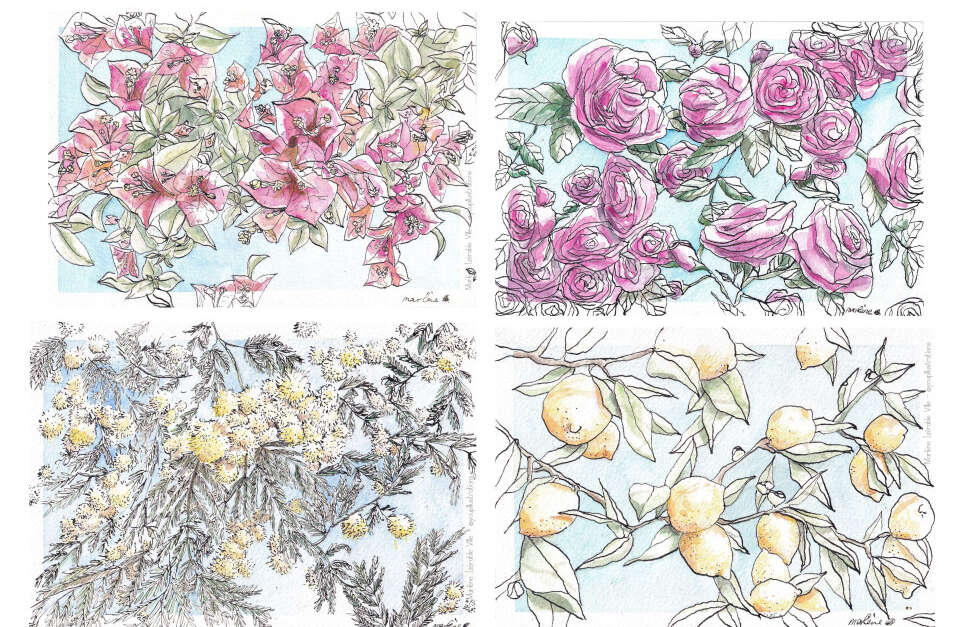 Marlene DESIGN & Youpi Illustration (Grasse) | Côte d’Azur France ...
