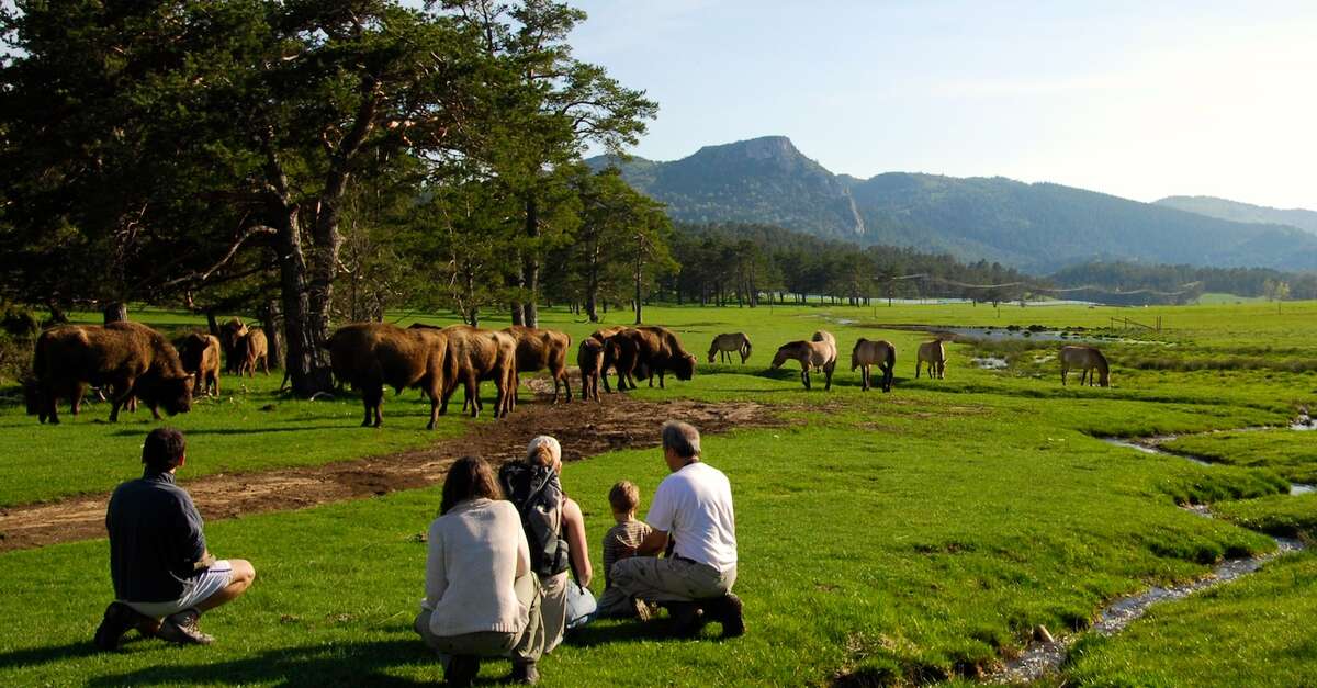 Biologische Reservat „Monts d’Azur“ (Andon) | Côte d’Azur Frankreich