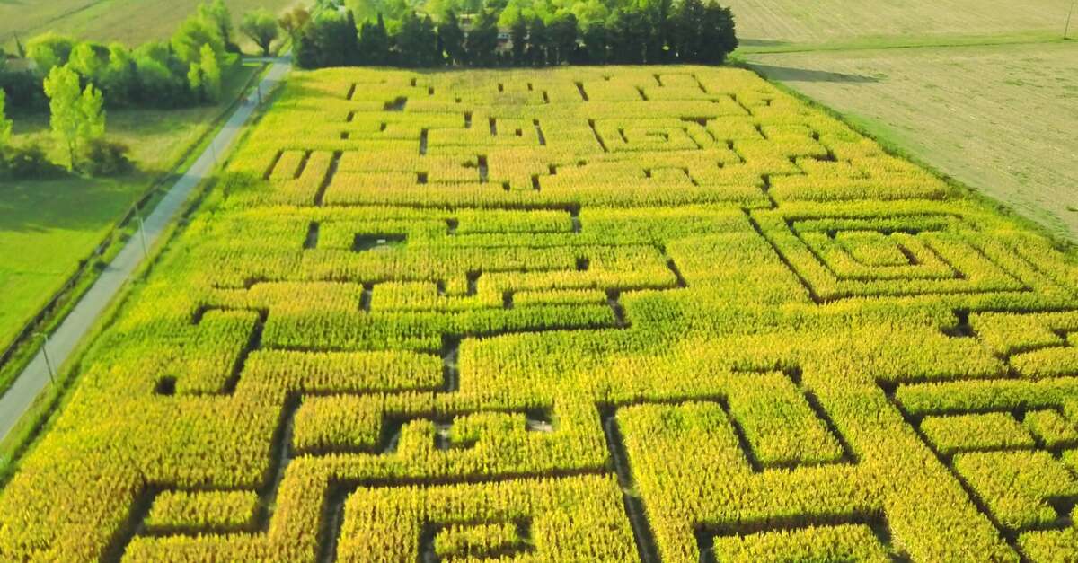 Labyrinthe les Hautes Herbes (Entraigues-sur-la-Sorgue) | Avignon ...