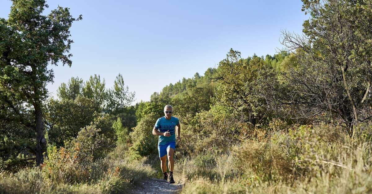 TV01 – Le Limon (Mormoiron) | Provence-Alpes-Côte d'Azur Tourism