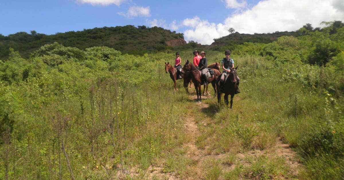 Koné Rando (Koné) | Nouvelle-Calédonie Tourisme : Le site officiel du ...